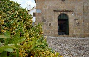Descobrir e visitar – Pinhel, Cidade Falcão