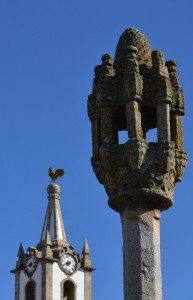 Descobrir e visitar – Pinhel, Cidade Falcão